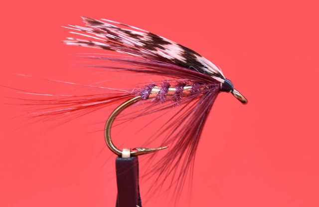 FLY PATTERNS – Alberta on the Fly