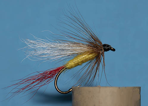 FLY PATTERNS – Alberta on the Fly